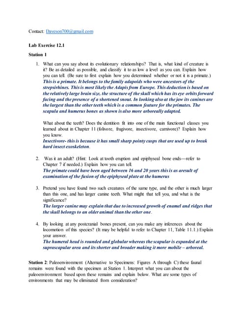 Lab exercise 13.3 anthropology | DOCX | Dental Health | Diseases and Conditions