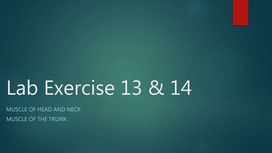 Anatomy Lab exercise 11 | PPT