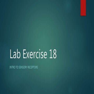 Anatomy Lab Exercise 18: Intro Sensory Receptors | PPTX