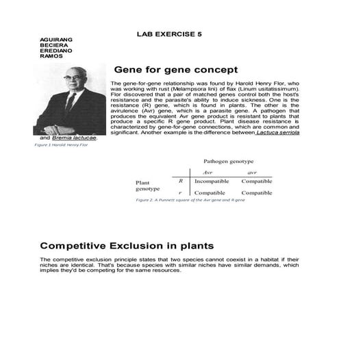 Lab Exercise 5 Pdf 