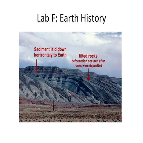 Relative Dating | PPT