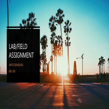 Lab/field assignment | PPTX