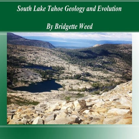 Field assignment | PDF