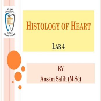 LAB G.H 3.pdf dhdjdj bdjdif jfkfbd hdjdbf jfj | PDF