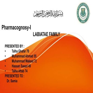 Labiateae | PPTX