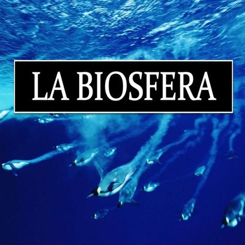 Biosfera | PPTX