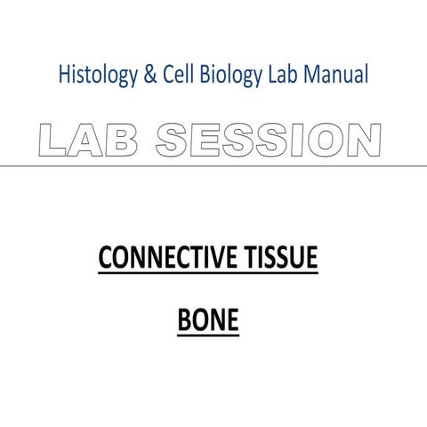 Lab manual (bone)2 (3).pptx
