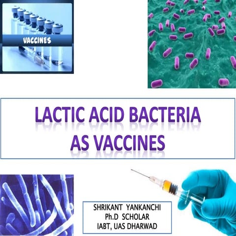 Lactic Acid Bacteria | PPTX