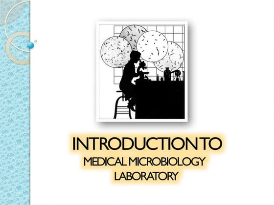 do's and dont's in the lab | PPT