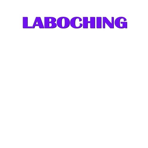 Laboching | DOCX