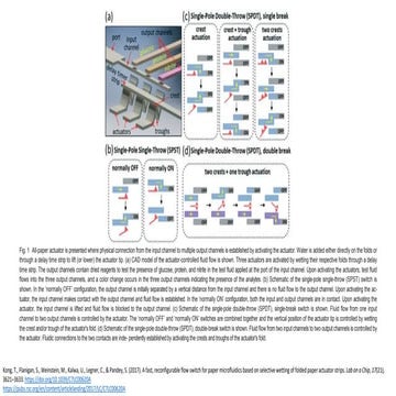 Paper Based Reconfigurable Flow Switch For Paper Microfluidics Ppt