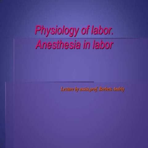 Labor | PPT