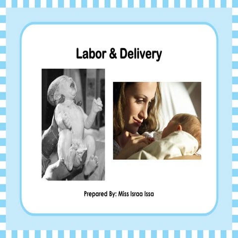 Labor.pdf