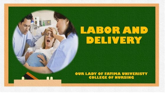 Spontaneous Vertex Delivery - Normal Childbirth | PPT