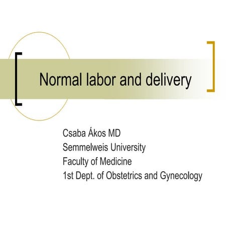 Labor-and-delivery.pdf