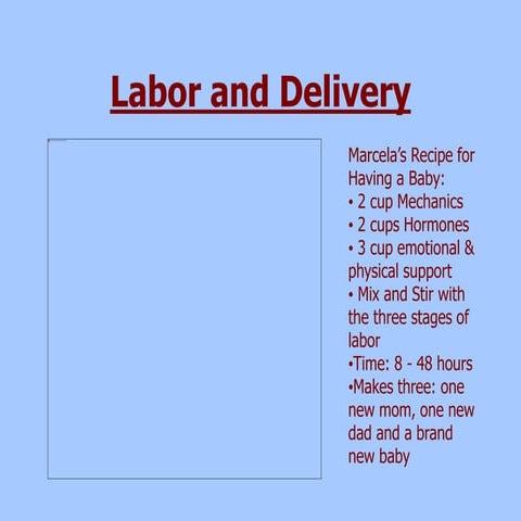 The Stages of Labor and Delivery Lecture.ppt