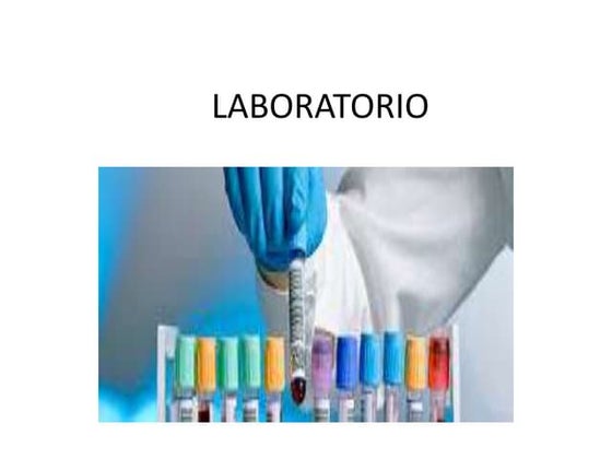 Laboratorio impri | PDF