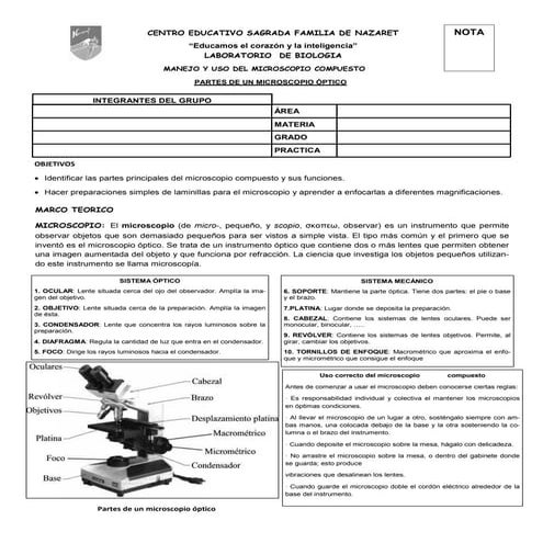 Hoja De Trabajo Sobre Las Partes De Un Microscopio Compuesto