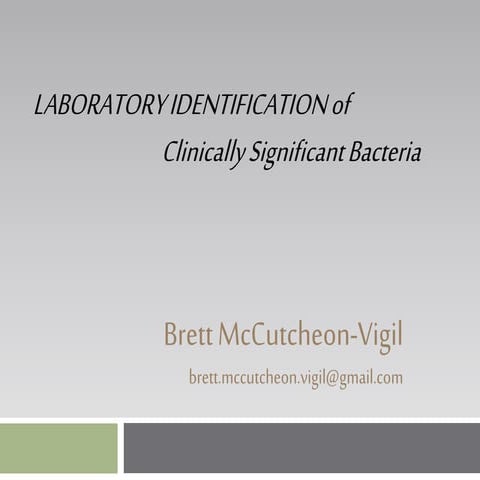 Laboratory identification-of-clinically-significant-bacteria | PPTX