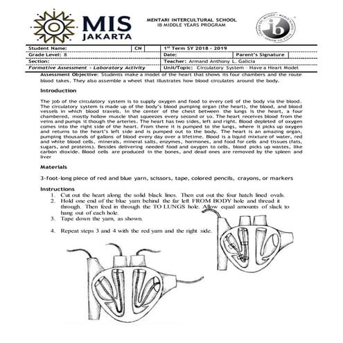 Laboratory activity circulatory system - have a heart model | DOCX