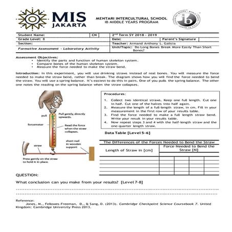 Laboratory activity do long bones break more easily than short bones | DOCX