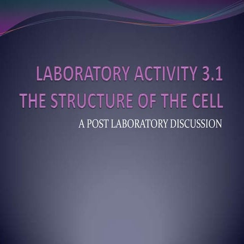 Laboratory activity 3 (post lab) | PPT