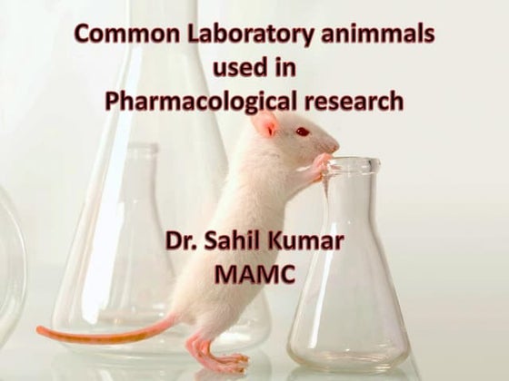 Maintence and breeding of laboratory animals | PPT