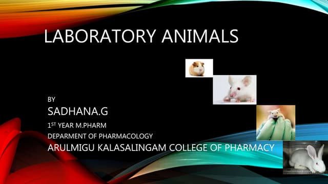 Handling of laboratory animal | PPTX