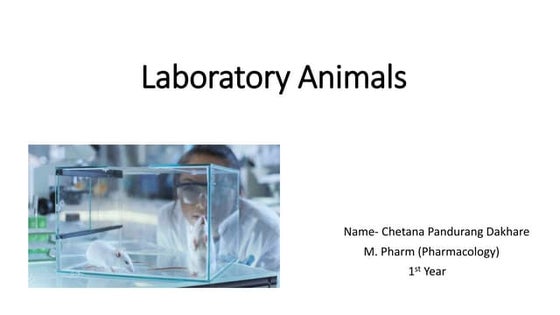 Handling of laboratory animal | PPTX