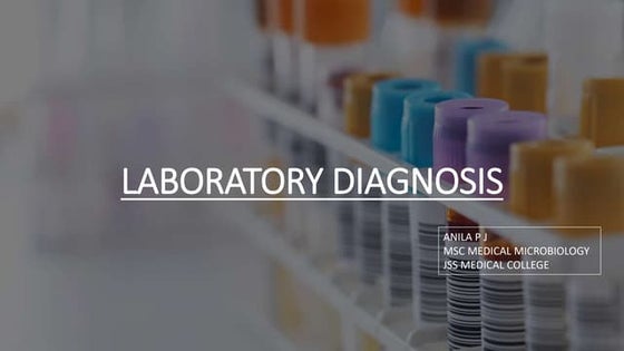URINE SAMPLE processing.pptx