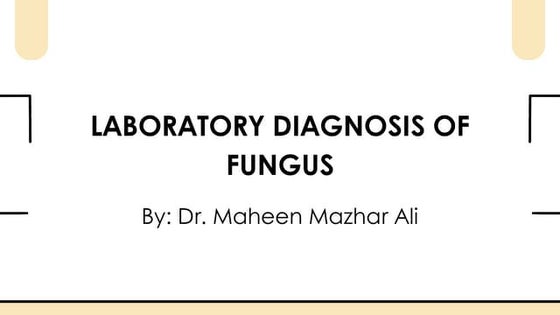 Mycology ppt ii laboratoy techniques for isolation and identification of fungi | PDF
