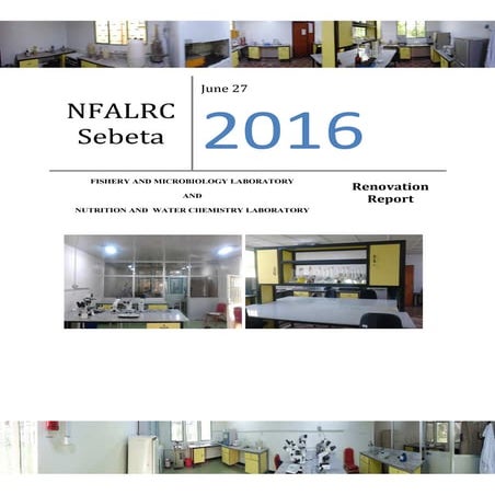 Sebeta Laboratory renovation report | PDF