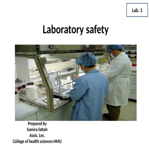 laboratorysafety-151021173712-lva1-app6891.pptx