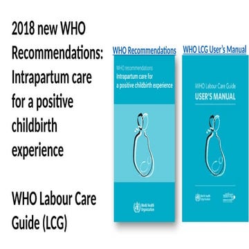 WHO user's manual labour care guide.pptx