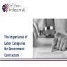 The Importance of Labor Categories for Government Contractors | PPTX