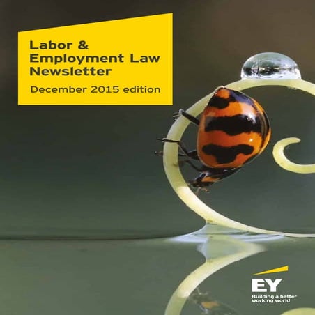 EY Labor & Employment Law Newsletter December 2015 edition | PDF
