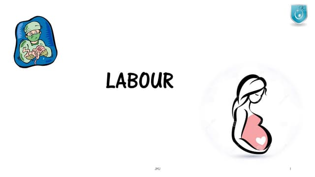 Labour and delivery | PPTX