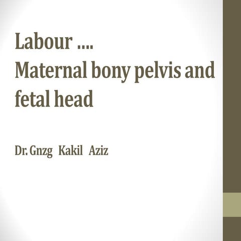 labour ,maternal boney pelvis and fetal head | PDF