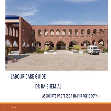 labour care guide ppt .pptx labour care guide ppt .pptx