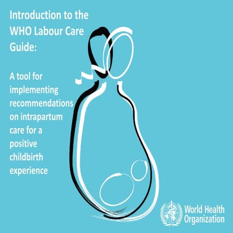 Labour careguide WHO slidedoc_240417_080943.pdf