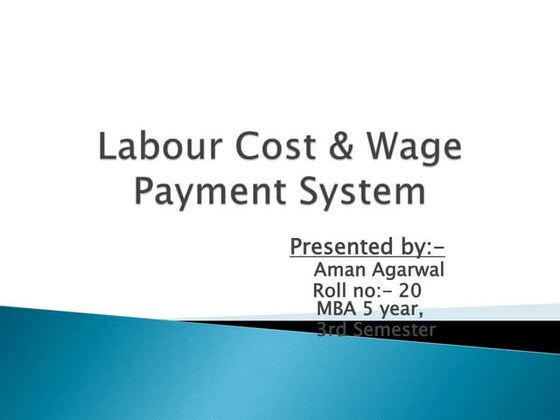 Wage and salary Administration | PPT
