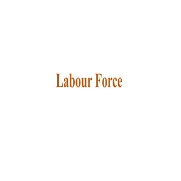 Labour Force Market and Statistics Pak.pptx