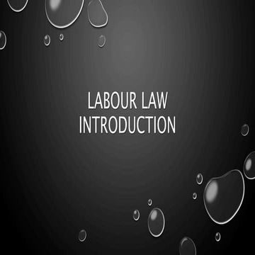 Labour law introduction CHAPTER 28.1 | PPT