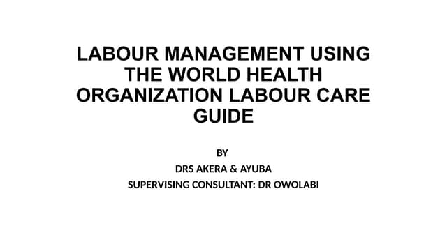 WHO labour guide.pdf