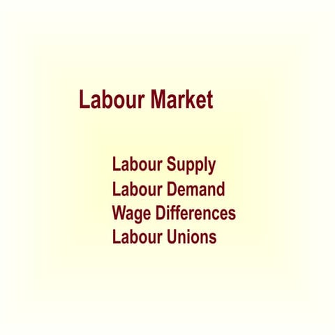Labour Market business economics exam ijd_2024.pptx