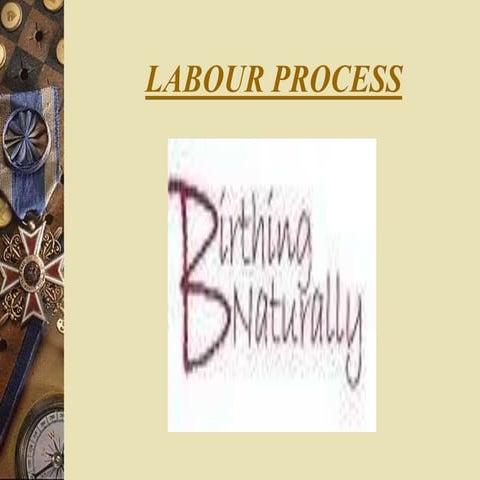Labour process | PPT