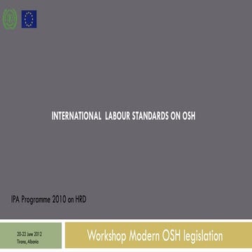 labour standard working presentation .ppt