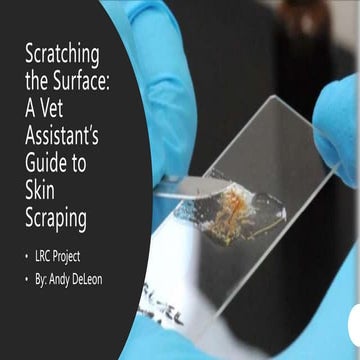 Lab Powerpoint | PPTX