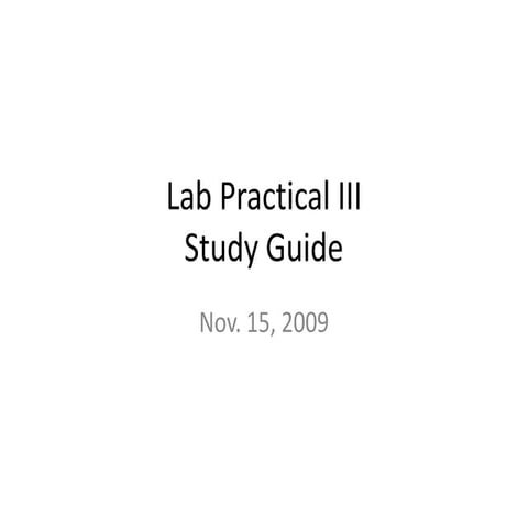 Lab Practical Iii | PPTX