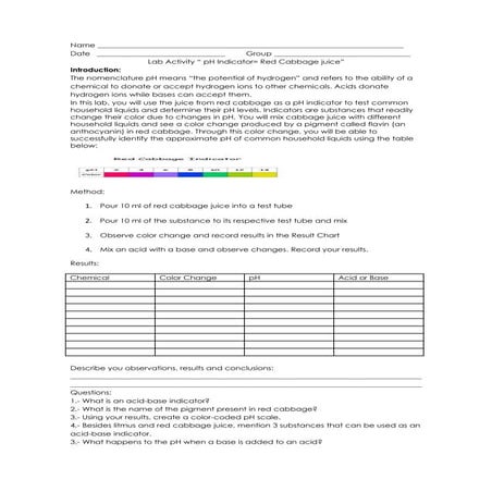 Lab red cabbage juice | DOC